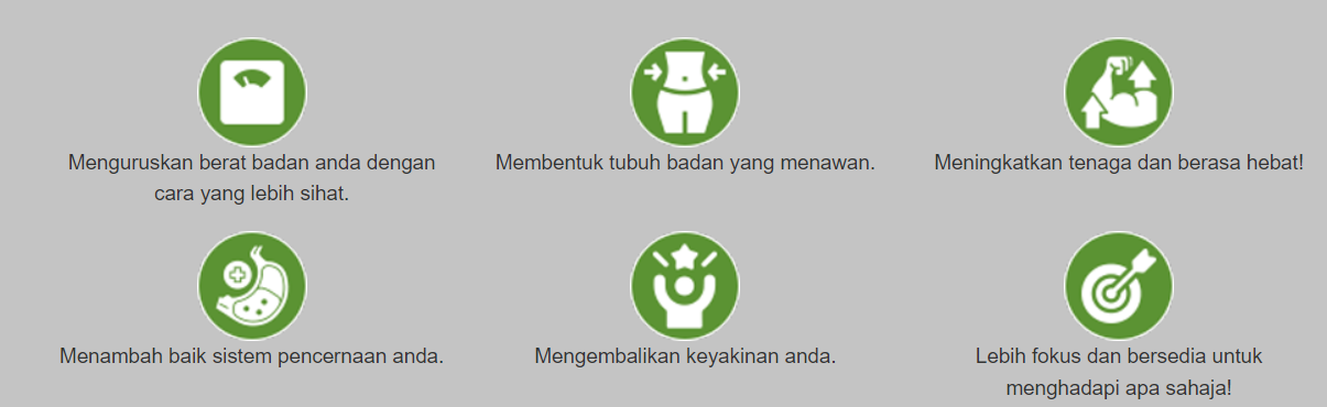 Cara Untuk Cepat Kurus Bersama Set Kurus Shaklee